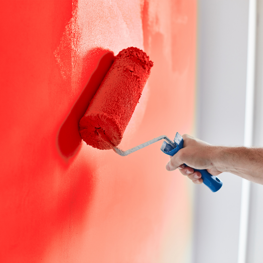 Vopsele lavabile | Pret bun & Calitate | NouaTei Buzau